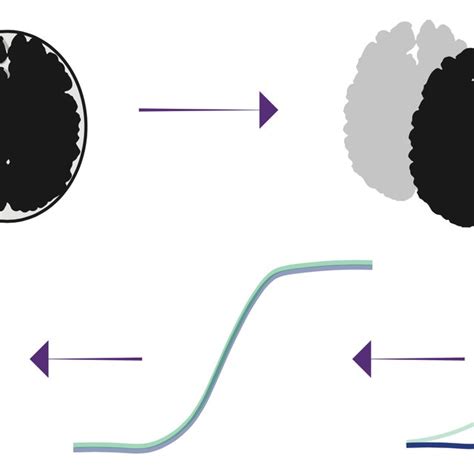 Harmonization Pipeline Raw Images Are N4 Bias Corrected Download