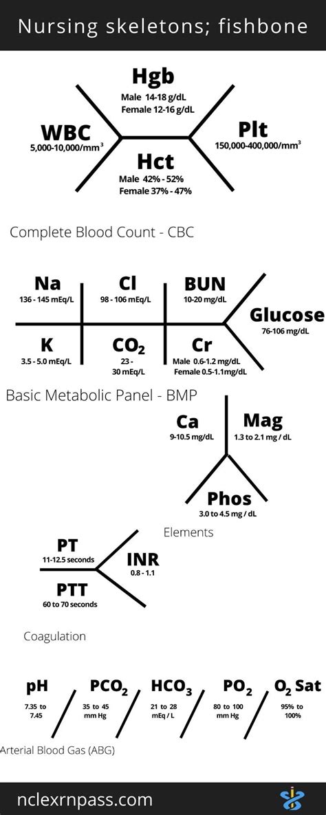 Lab Skeleton Template