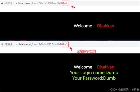 Sql注入ctf实例sql注入 Ctf Csdn博客