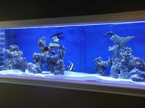 Saltwater Aquarium Setup And Tips For Beginners Reef Tank Resource