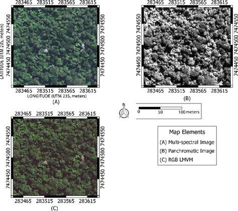 figure 2 from tree crown delineation algorithm based on a convolutional
