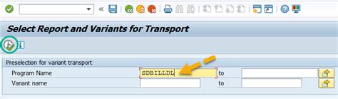 Report Variant Transport Sapcodes