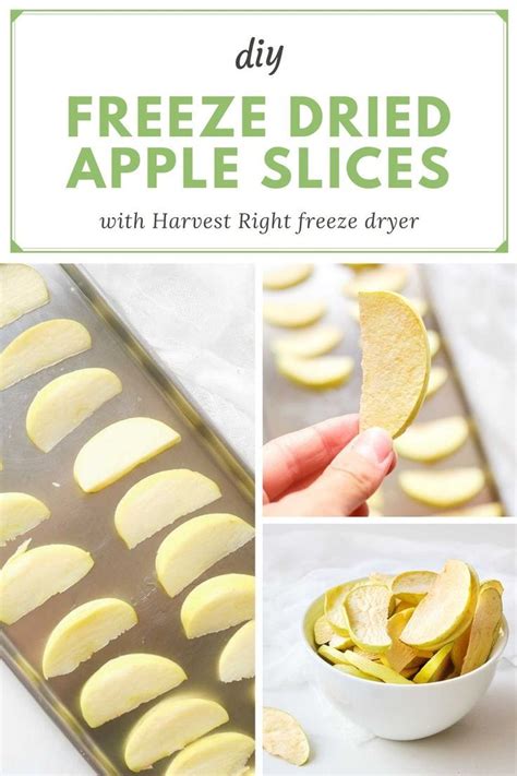 Freeze Dried Apples Artofit