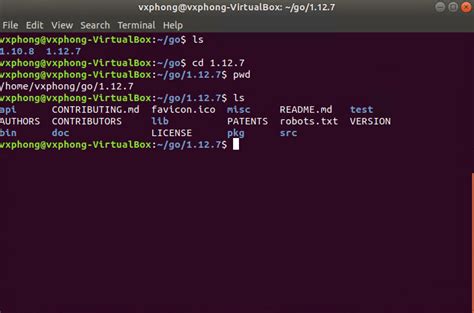 Học Golang từ con số 0 Phần 1 cài đặt Golang trên Linux và Windows