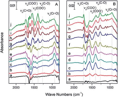 A In Situ Atr Ftir Spectrum Of Haematite A Flushed With Ph 40 H 2