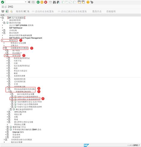 Sap Sap Skb Csdn