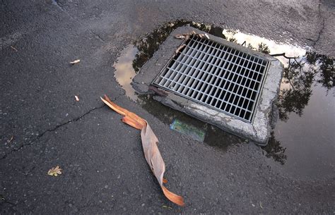 Girl Stuck In Drain Telegraph