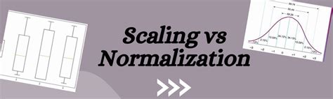 scaling vs normalization