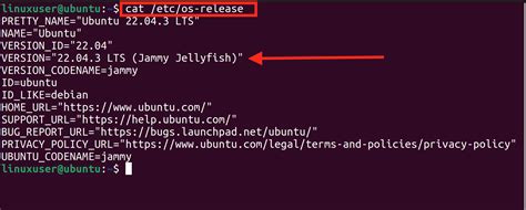 How to Check OS Version From Linux/Ubuntu Terminal? - Linux Genie