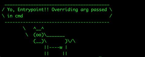 Docker La Diferencia Entre Entrypoint Y Cmd Programa En Línea
