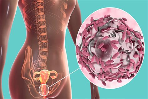 Genital Yeast Infection Rash