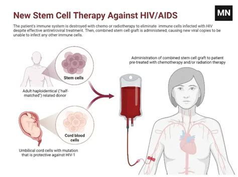 Stem Cell Definition Types Application Advantages Biology Notes