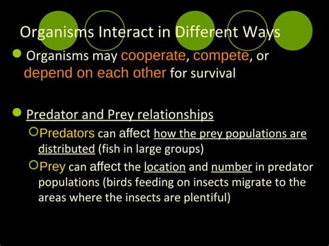 Interactions Within Ecosystems Ppt