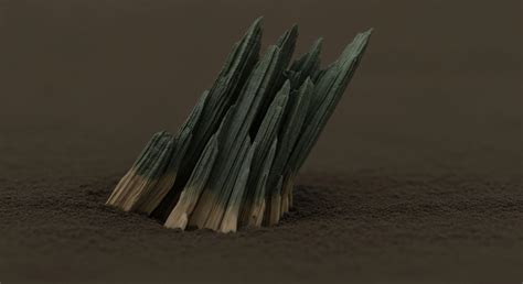 Name A Common Pollutant Known To Be A Potent Inducer Of Cyp1a1 → Learn