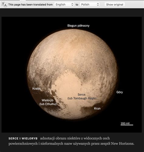 Its Not About Morals Accessibility Is For The Masses Una Kravets Online