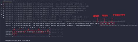 Netty应用八 之 Bytebuf And 半包粘包问题 And 半包粘包解决方案 封帧解码器prettyhexdump乱码 Csdn博客