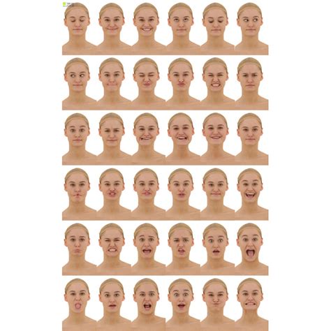 Male 3d Face Models From 3d Scans By