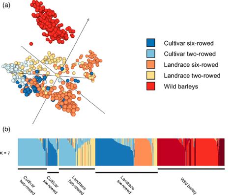 Population Structure Of 815 Barley Accessions A Principle Coordinate