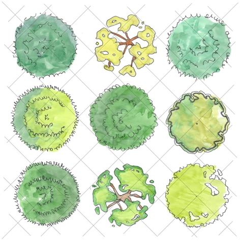 Landscape Graphics Plan View Trees Marker Bright Green Variety Etsy