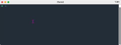 Brew Install 命令详解 Csdn博客