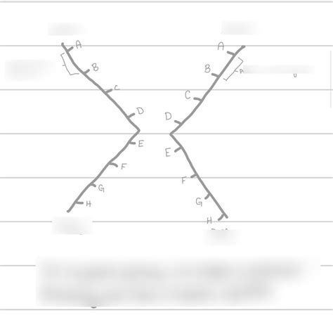 Chapter 10 Diagram Quizlet Chapter 10 Diagram Quizlet