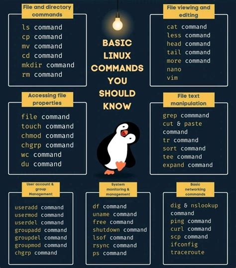 Linux Techskills Amber Sharma