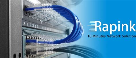 Rapink Patch Panel 24 Port Cat7 With Inline Keystone 10g Support Coupler Patch