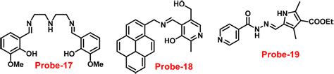 Chemical Structures Of Probe 1719 Redrawn The Chemdraw Structure
