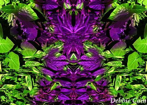 Debbie Cain San Francisco Women Artists