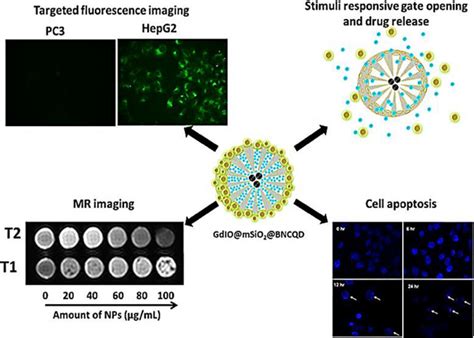 A Novel Multifunctional Hybrid Nanoparticle Platform Fabricated From
