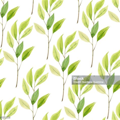緑の枝や葉を持つシームレスな植物背景白い背景に描かれたイラスト水彩画の手 イラストレーションのベクターアート素材や画像を多数ご用意