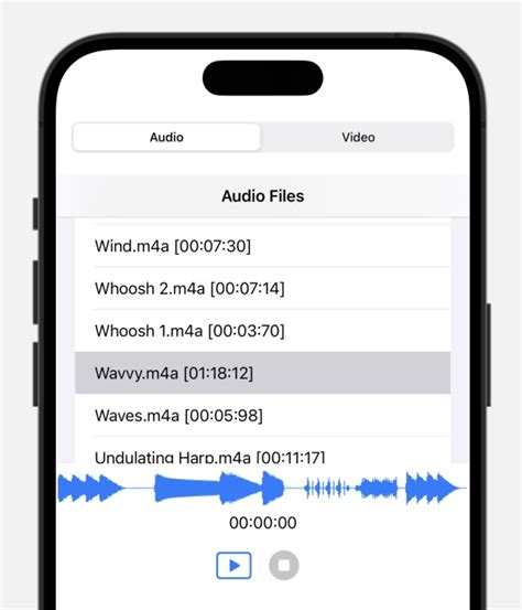 Plotaudio Limit Point
