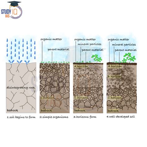 Properties Of Soil Physical Chemical Biological Structure