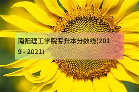 南阳理工学院专升本分数线2019 2021 职教网