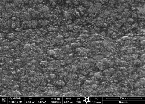 Hr Sem Micrograph Of The Surface Of Ni Mo Alloy Coating Deposited From