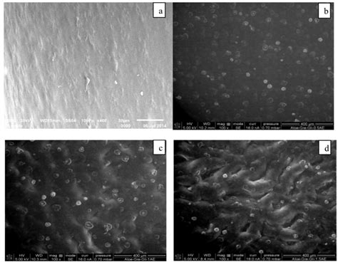 Scanning Electron Microscopy Images Obtained By Esem 400x A Aloe Download Scientific