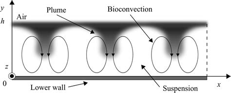 Pattern Wavelengths And Transport Characteristics In Three Dimensional