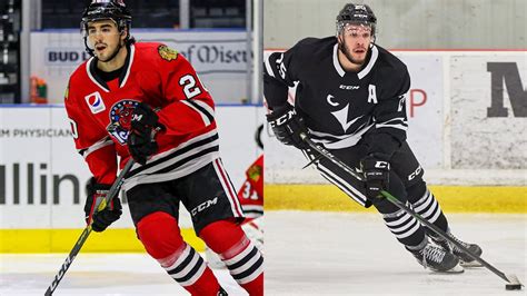 Nathan Noel Reassigned Alexandre Boivin Signs With Sc South Carolina