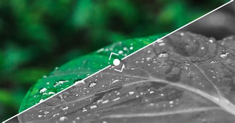 Image Comparison Gallery Tool Code Canel