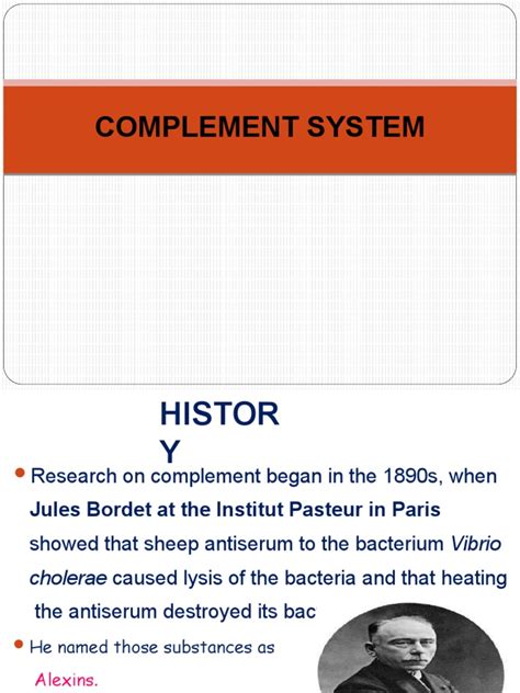 Complementsystem Updated Pdf Complement System Anatomy