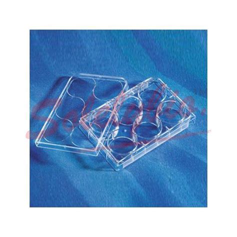 Corning3516，6孔细胞培养板，透明，tc表面，1个包，50包箱corning