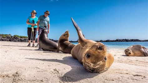 Ultimate Top 7 Atacama Desert Tours And Lodges By Surtrek