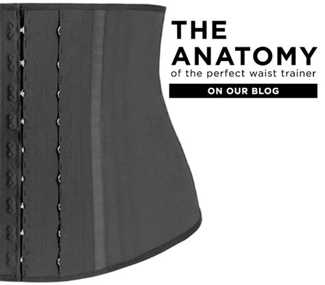 The Anatomy Of The Perfect Waist Trainer Waist Trainer Waist