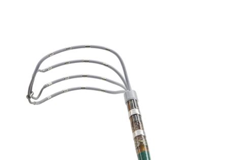 Advisor Hd Grid Mapping Catheter Sensor Enabled Gains Fda Clearance