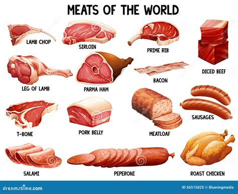 Meat Of The World Stock Vector Image 56515825
