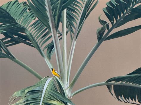 Jane Henzerling Worldaccordingtojane • Instagram Photos And Videos