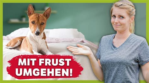 Warum dein Hund sich auch mal SCHLECHT fühlen sollte