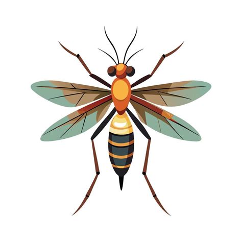 Tipula Paludosa Stunning Representation 58982597 Vector Art At Vecteezy
