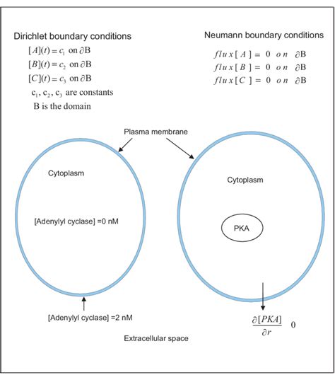 Boundary Condition For Pdes The Dirichlet Boundary Condition States