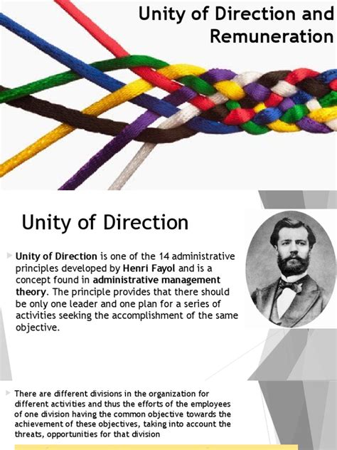 Unity Of Direction
